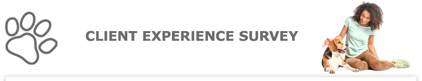 Client Experience Survey - Welcome